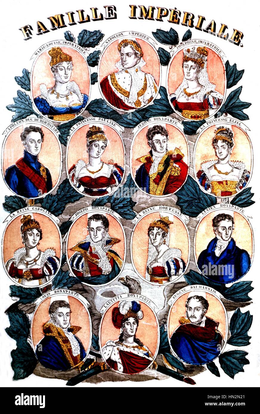 Napoleonic Emperors Family Tree