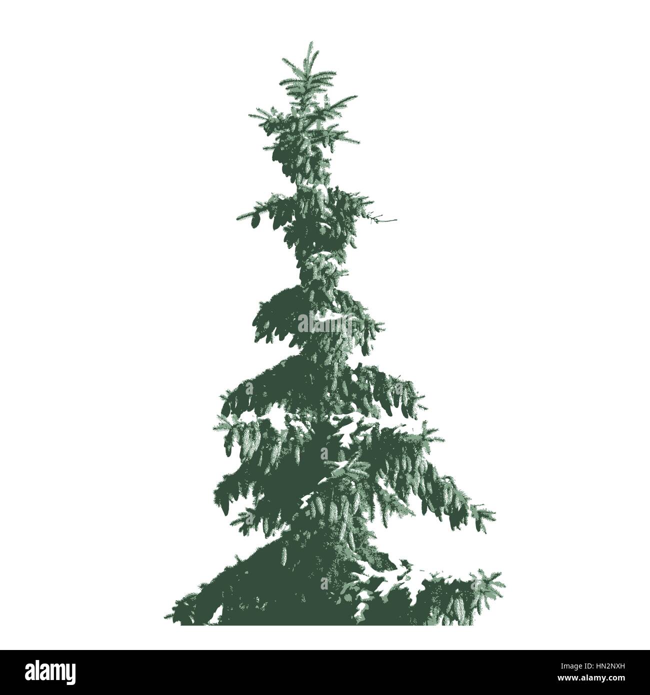 Green Fur-tree silhouette isolated on white background Stock Vector ...