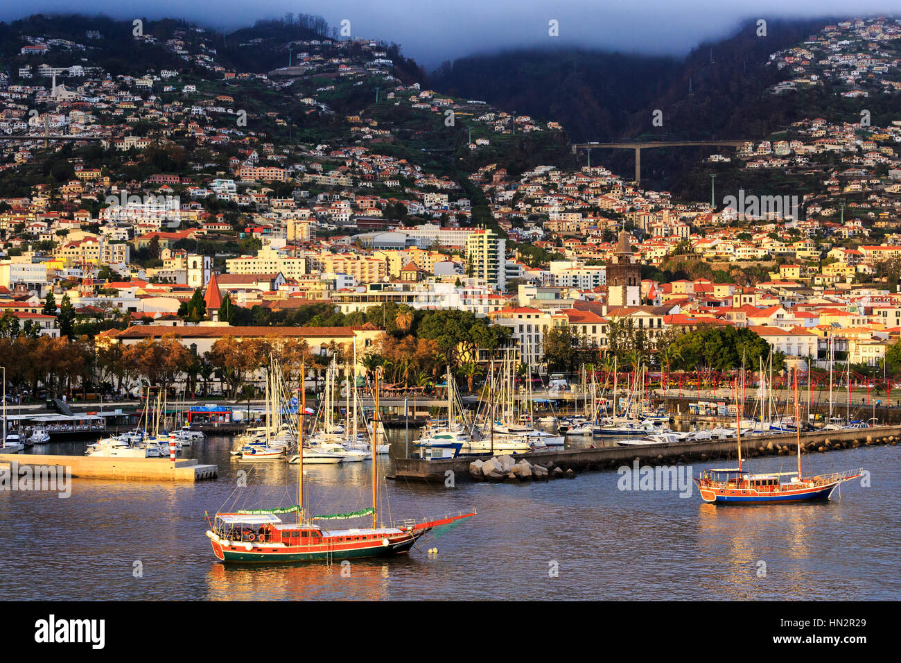 Funchal harbour and city view from the sea, Madeira Stock Photo - Alamy