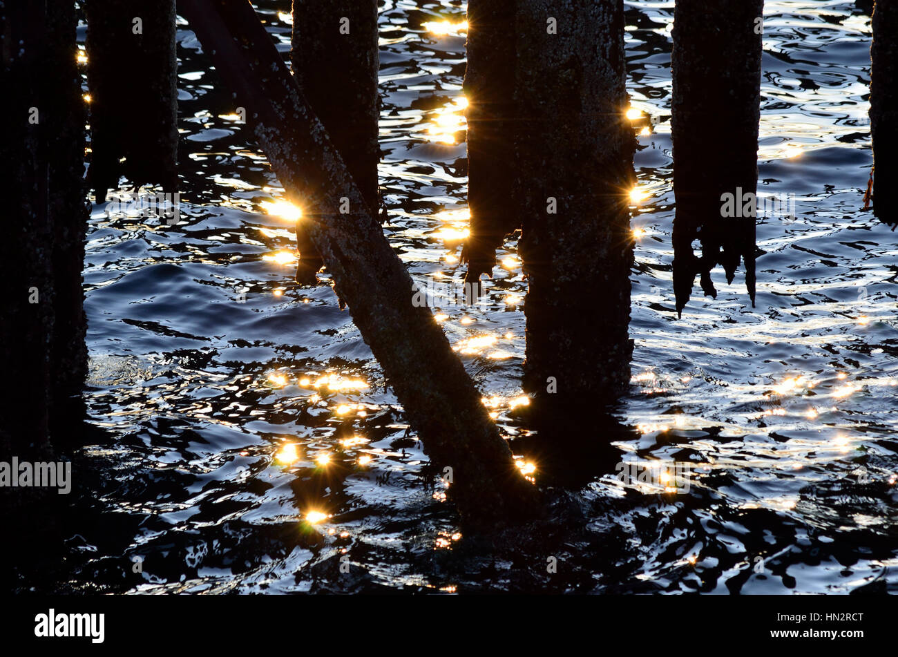 sparkling sun reflection on waves under old weathered wooden pier poles ...