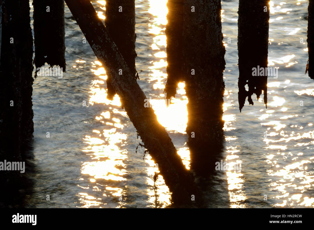sparkling sun reflection on waves under old weathered wooden pier poles ...