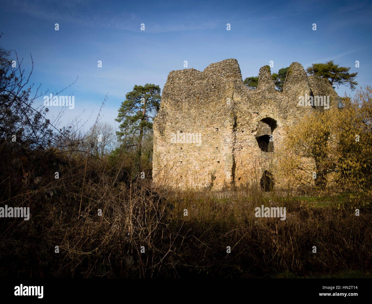 Odiham Castle, Hampshire Stock Photo - Alamy