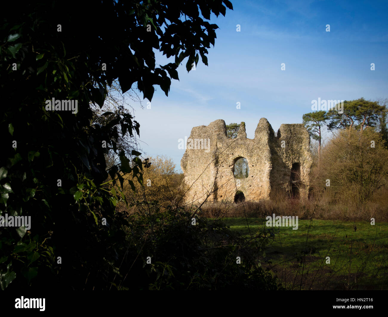 Odiham Castle, Hampshire Stock Photo - Alamy