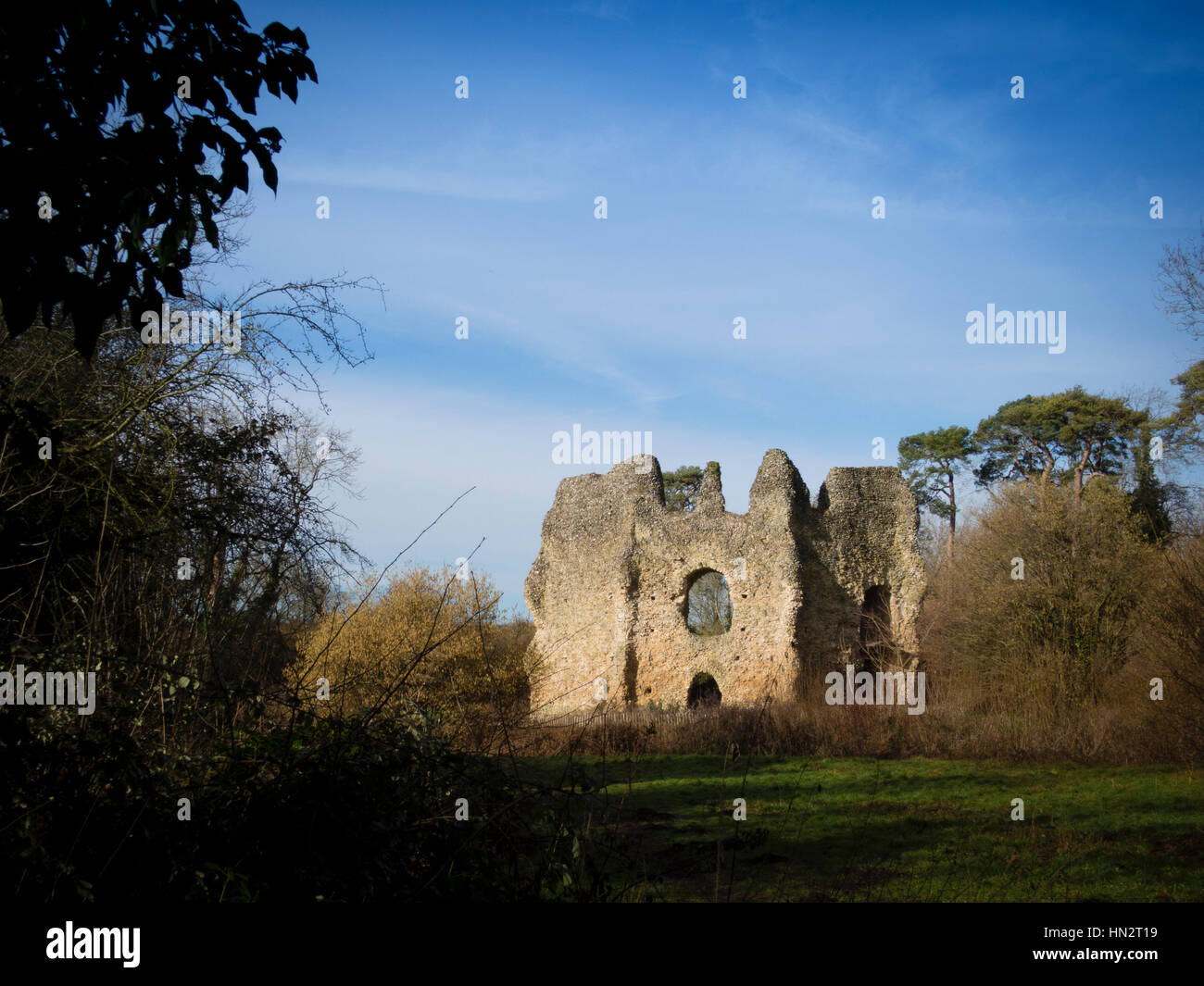 Odiham Castle, Hampshire Stock Photo - Alamy