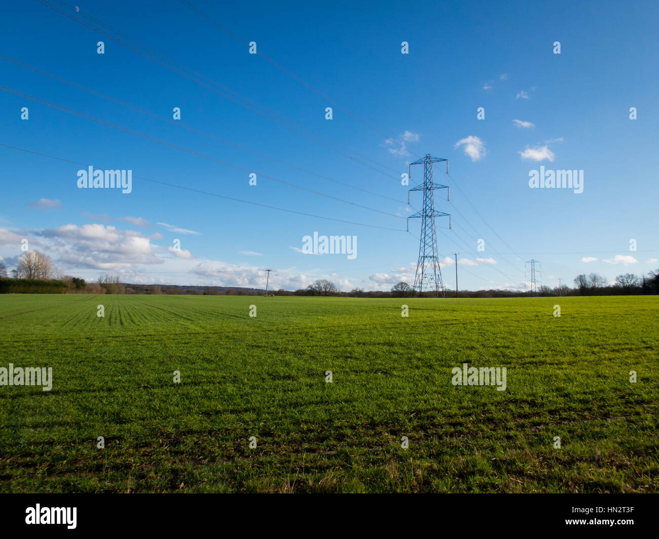 Pylon in green field against a blue sky Stock Photo - Alamy