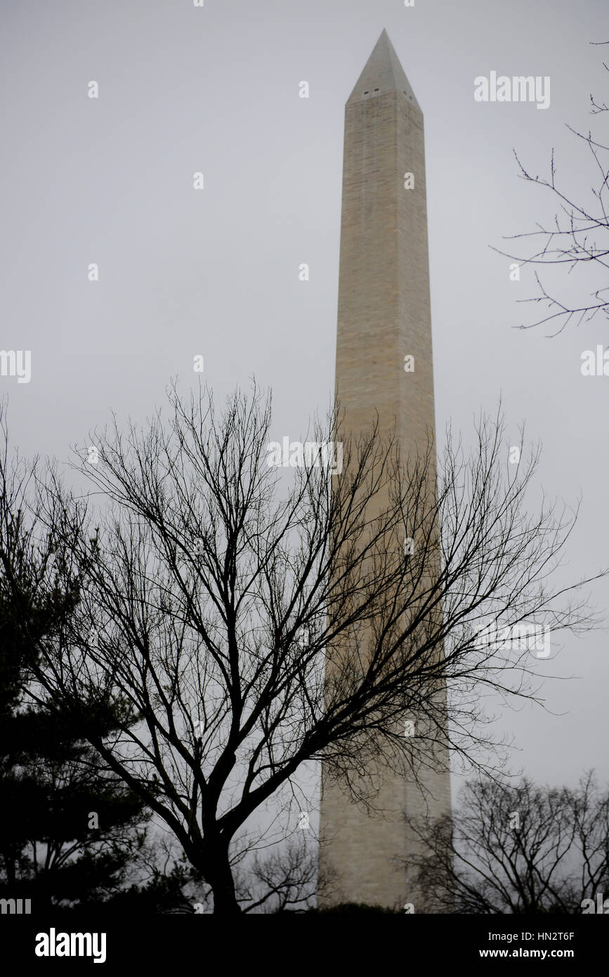 Artistic composition of the Washington Monument with bare winter tree ...