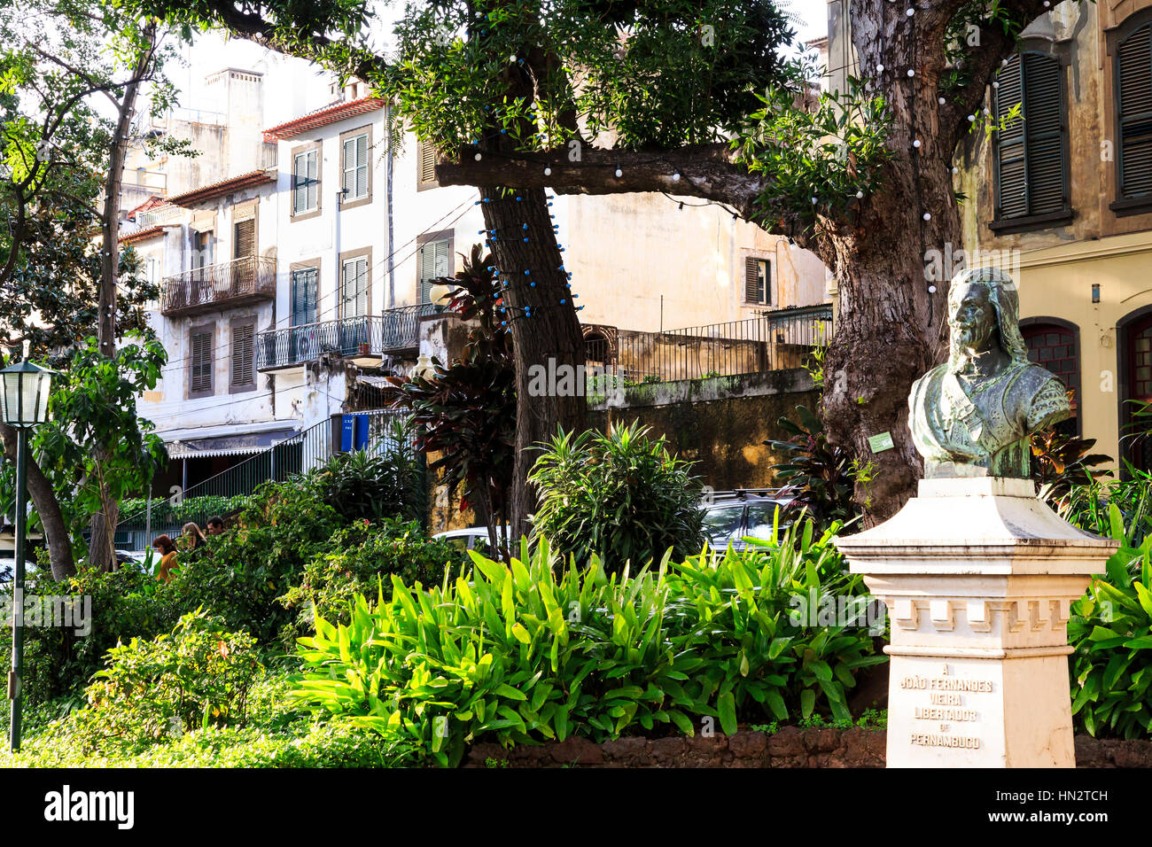 Jardim Municipal garden, Funchal, Madeira Stock Photo - Alamy