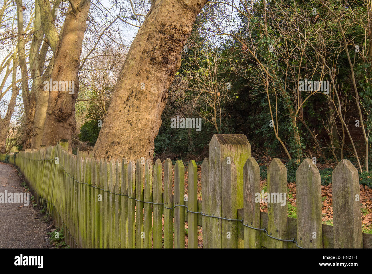 Tree trunk fence hi-res stock photography and images - Alamy