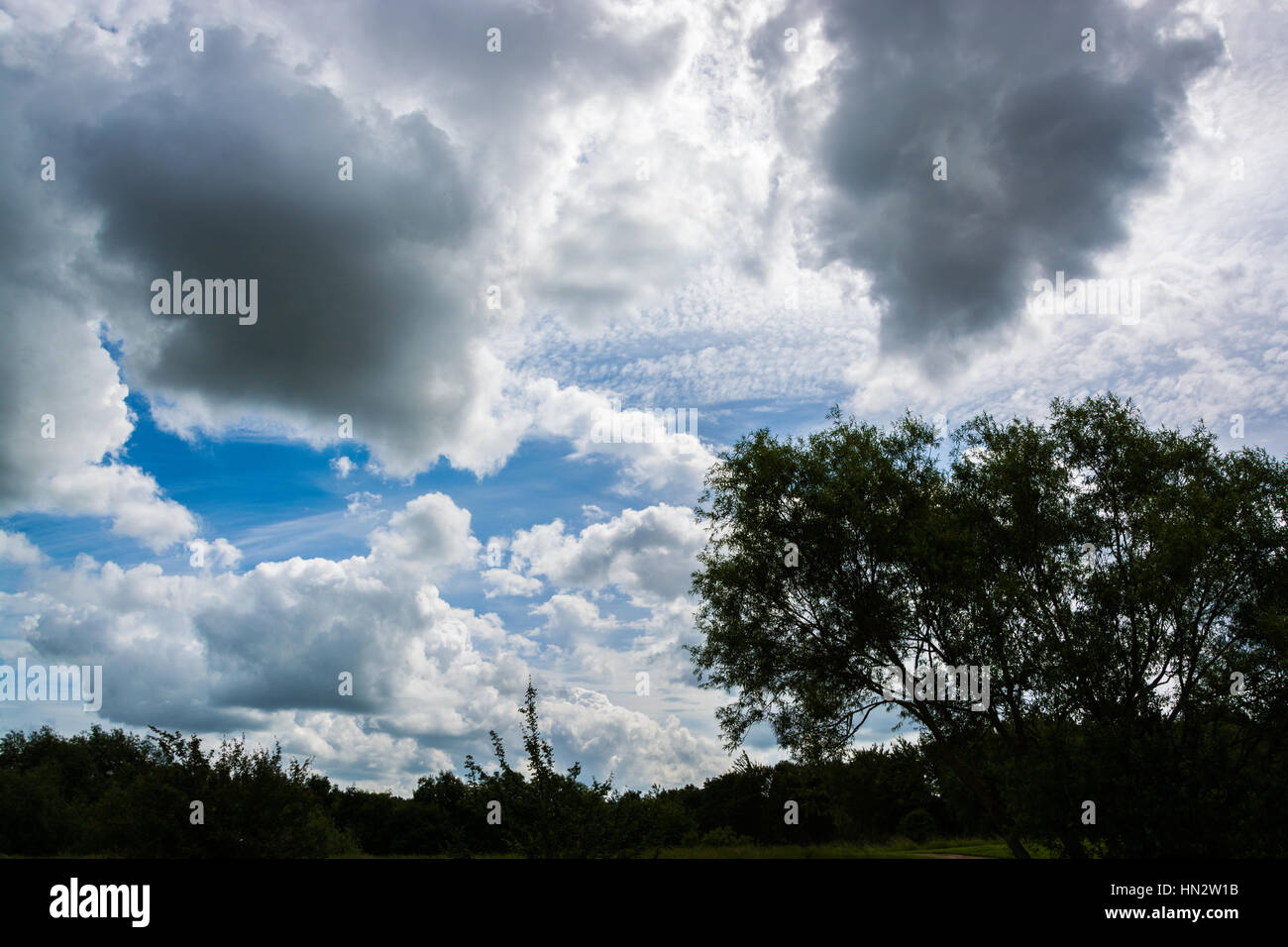 Layers of clouds covering the sun above trees Stock Photo - Alamy