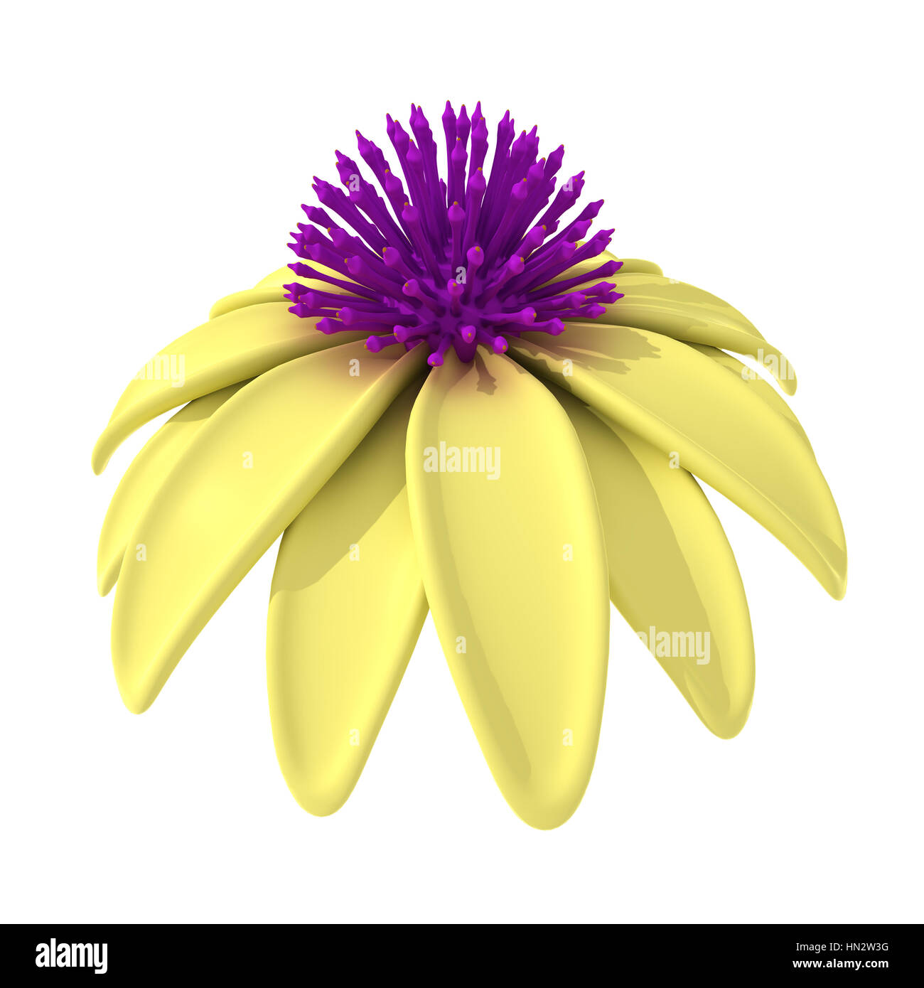 Abstract flower detail Cut Out Stock Images & Pictures - Alamy