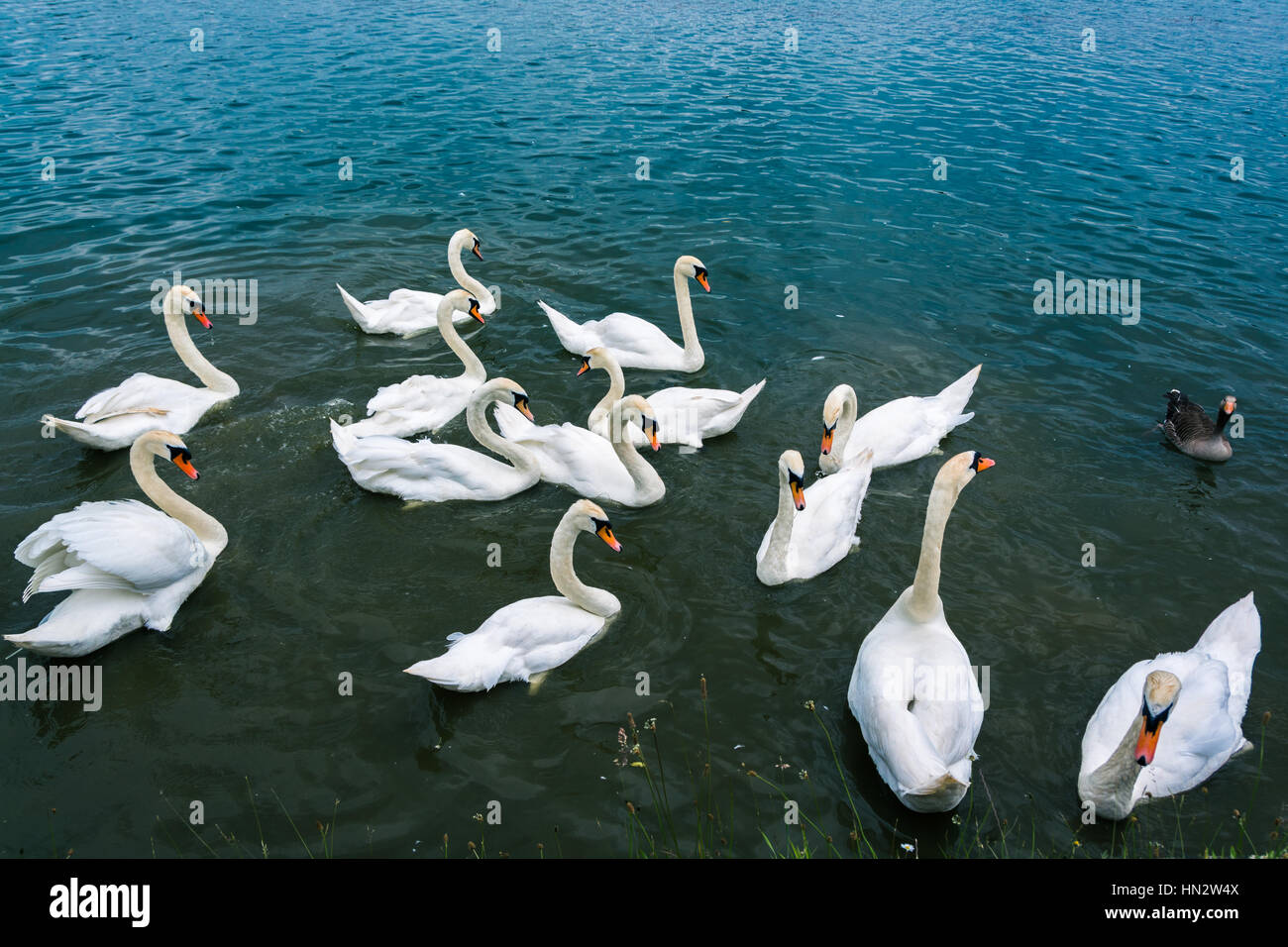 Wave gathering hi-res stock photography and images - Alamy