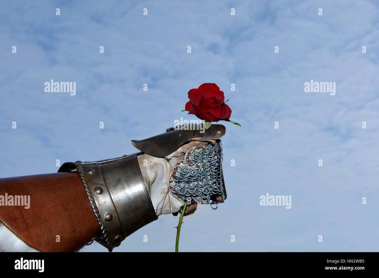 The knight of the rose hi-res stock photography and images - Alamy