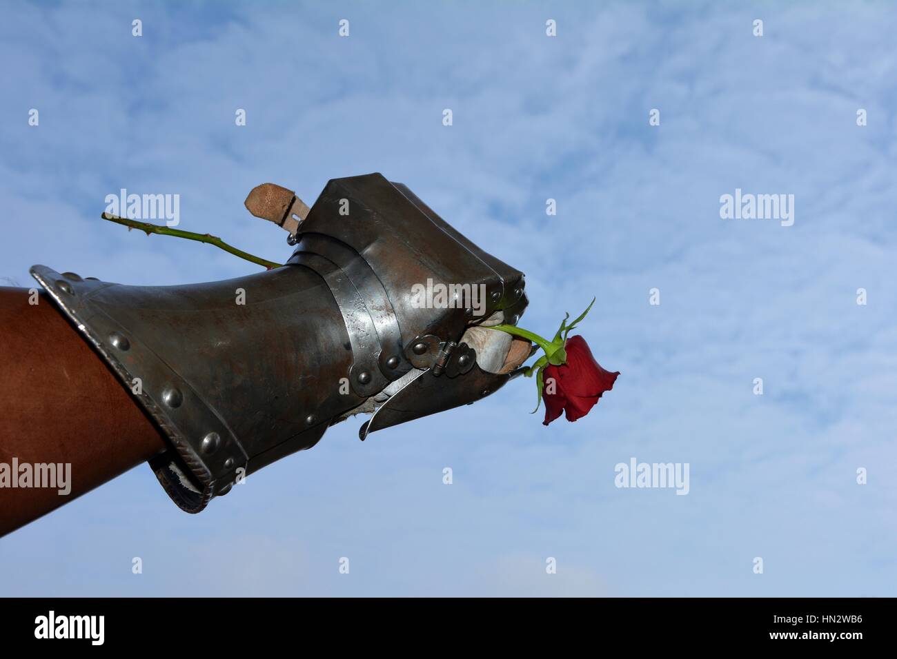 Hard but hearty - iron knight's hand with red rose before blue sky ...