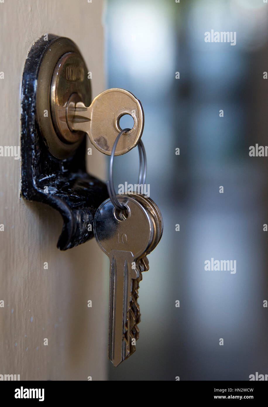 A set of house keys are seen in a lock on the front door to a house in ...