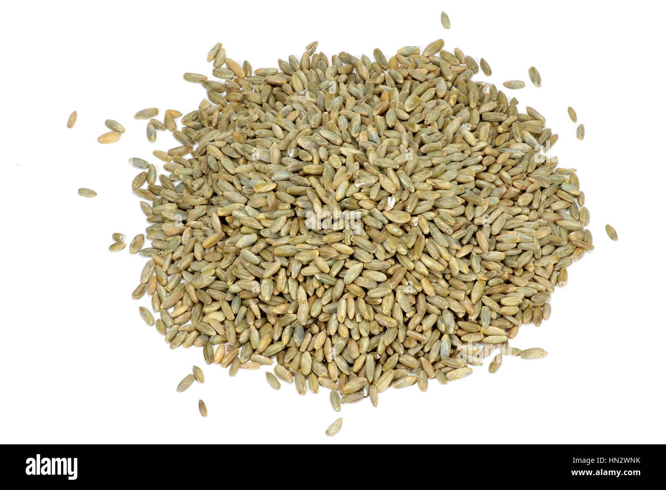 rye grains isolated on white background Stock Photo - Alamy