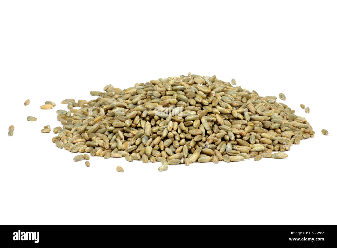 rye grains isolated on white background Stock Photo - Alamy