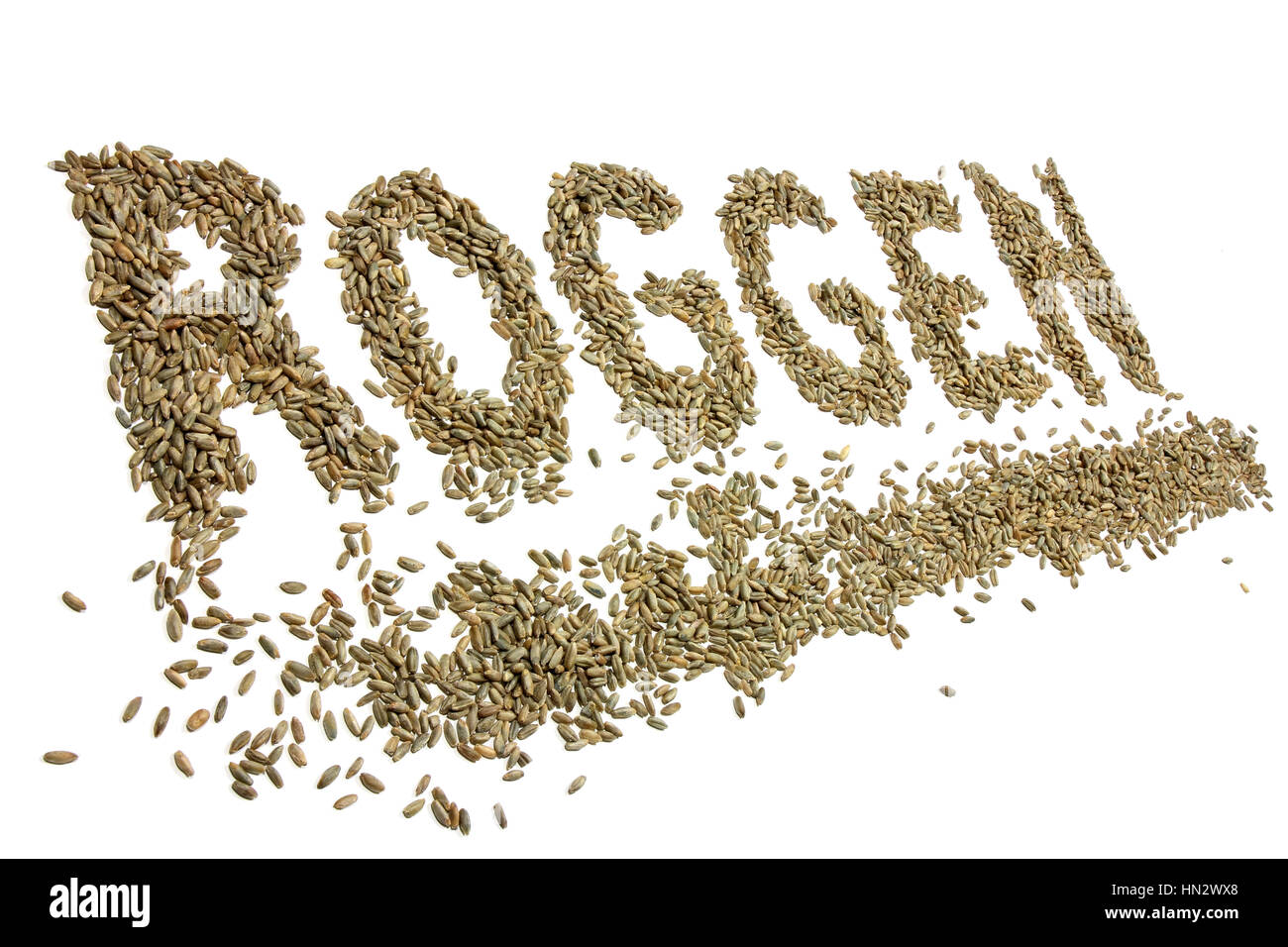 ROGGEN (rye in German language) written with rye grains isolated on ...