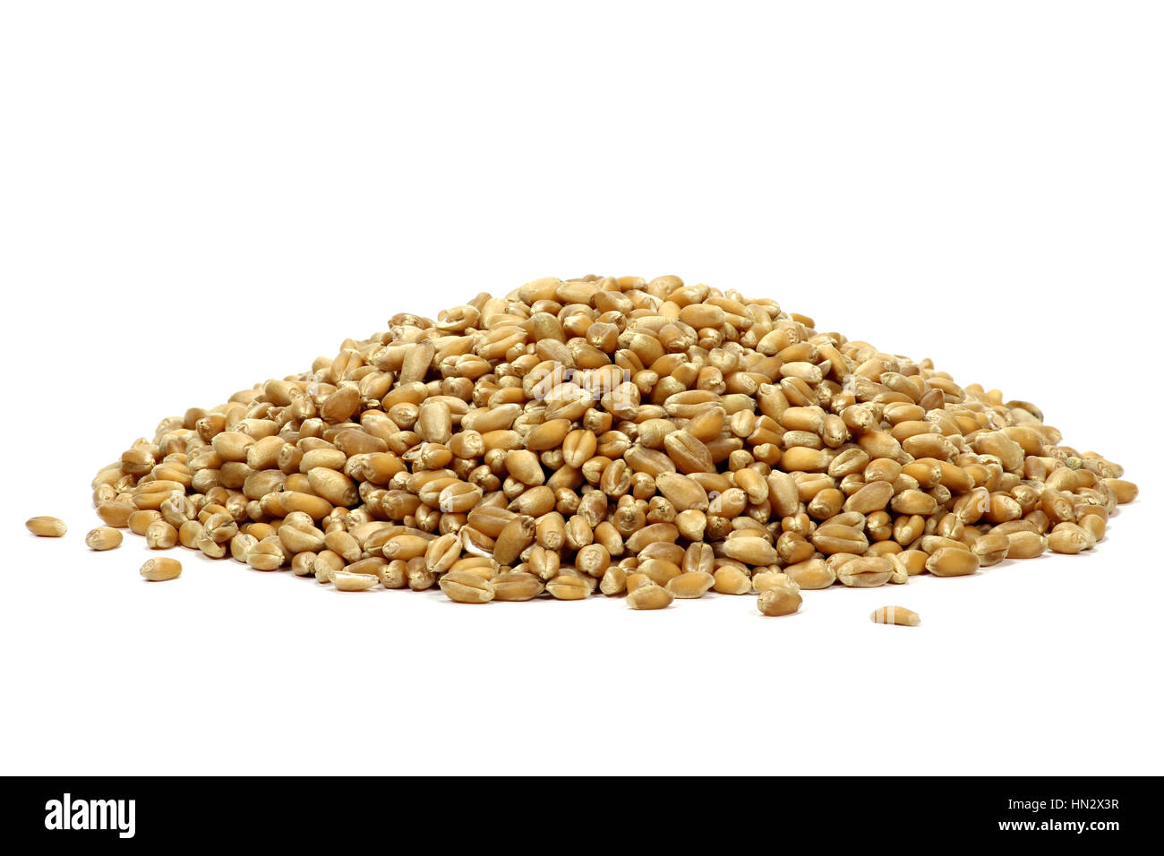 wheat grains isolated on white background Stock Photo - Alamy