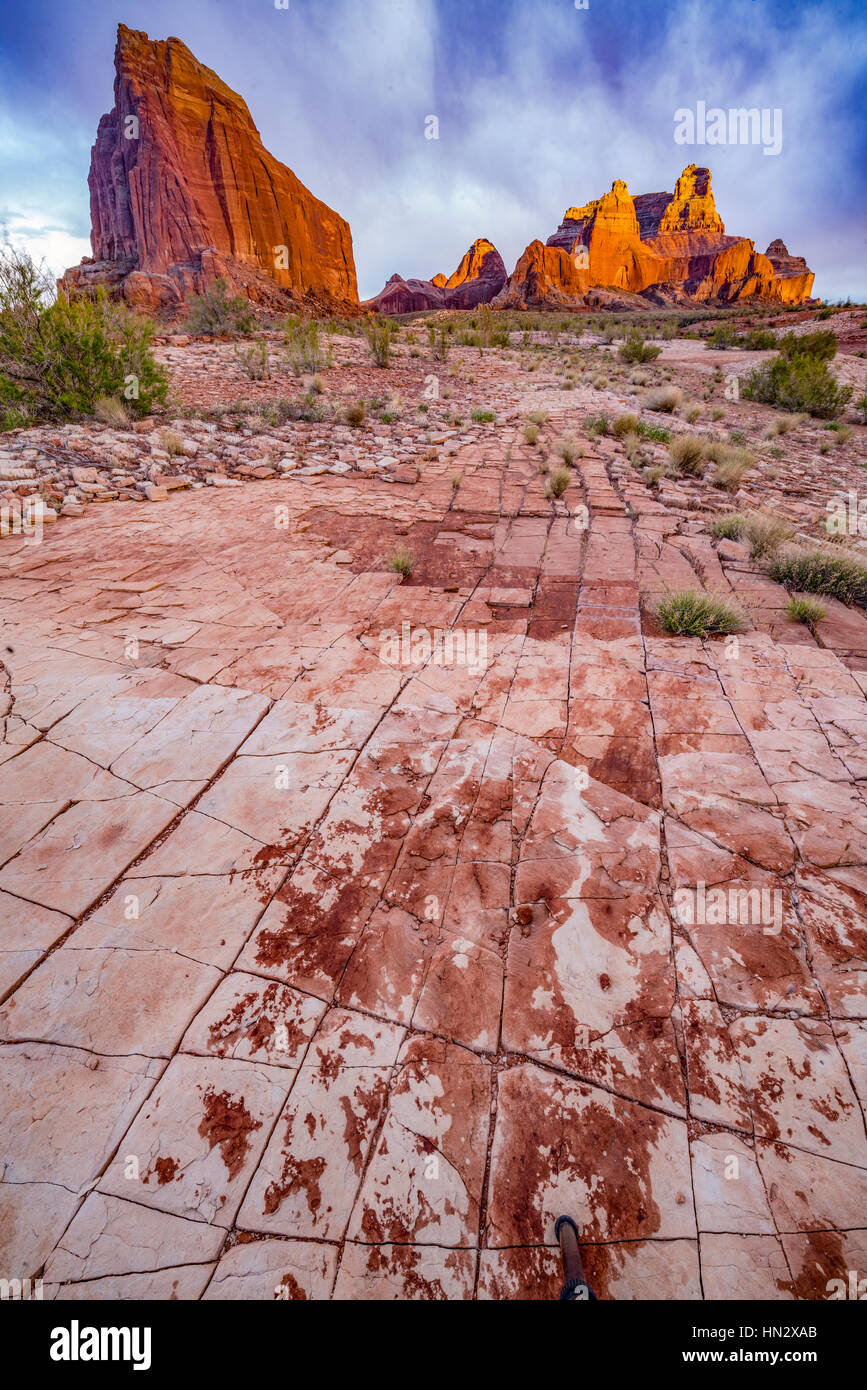 Tesellated pavemnet rocks and Lake Powell Buttea, Glen Canyon National ...