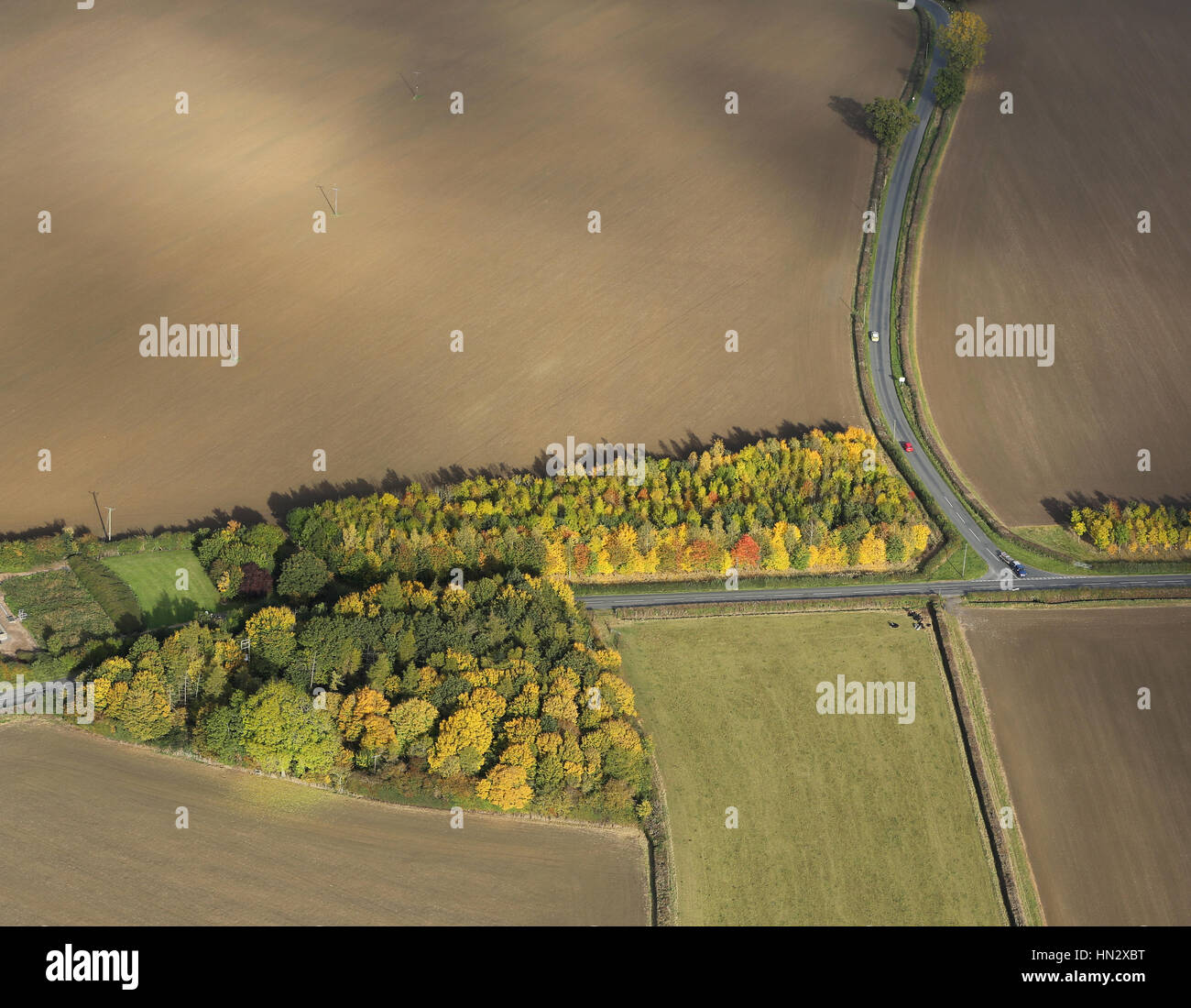 A small wooded area bathed in autumnal sunlight as the leaves on the ...