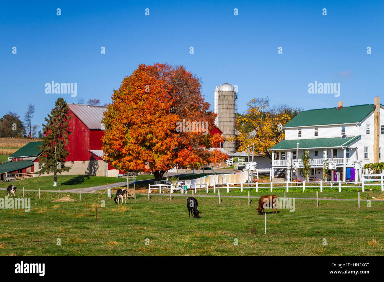 A large Amish dairy farm home near Berlin, Ohio, USA Stock Photo - Alamy
