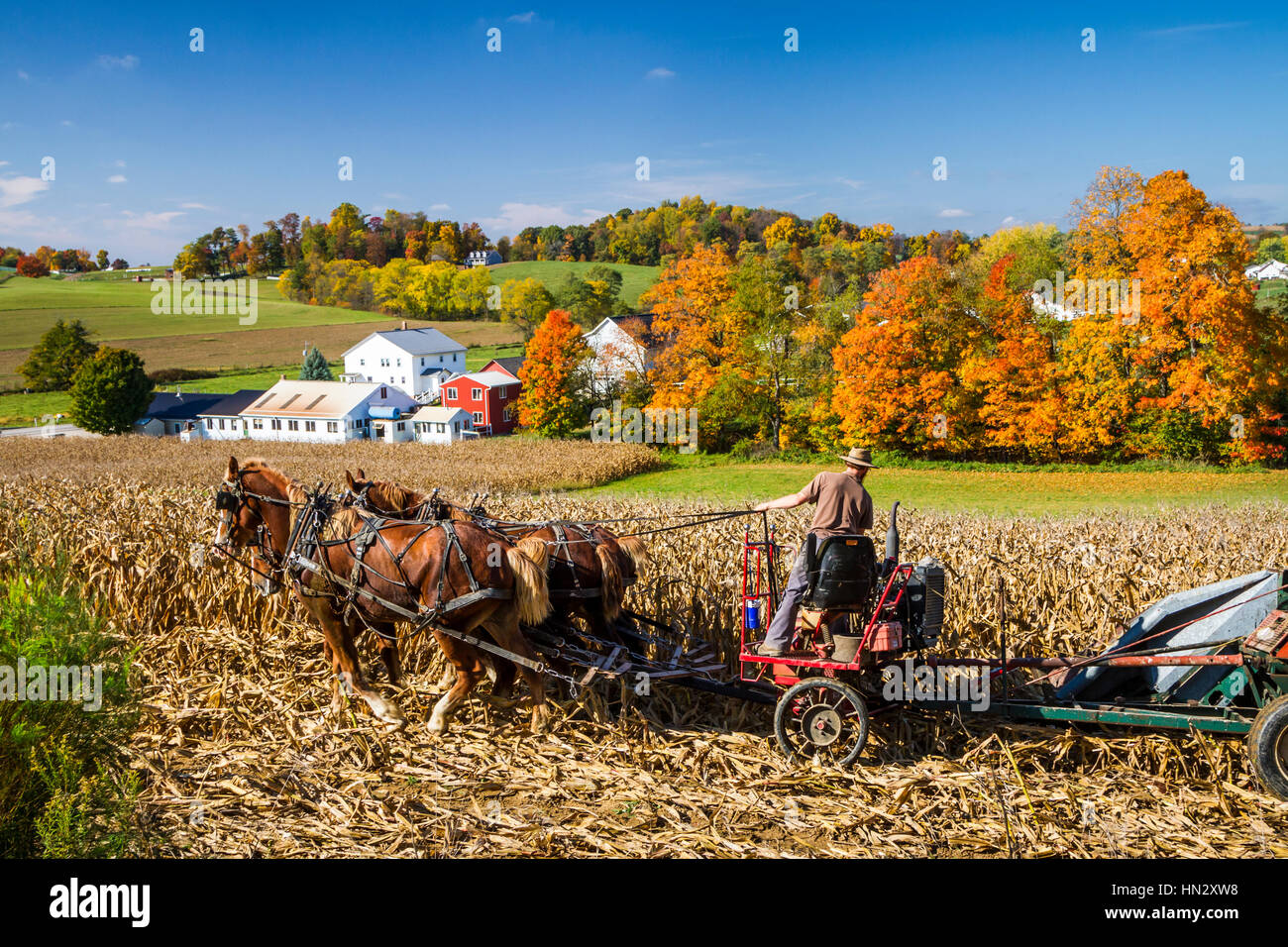 Corn picker farm hi-res stock photography and images - Alamy
