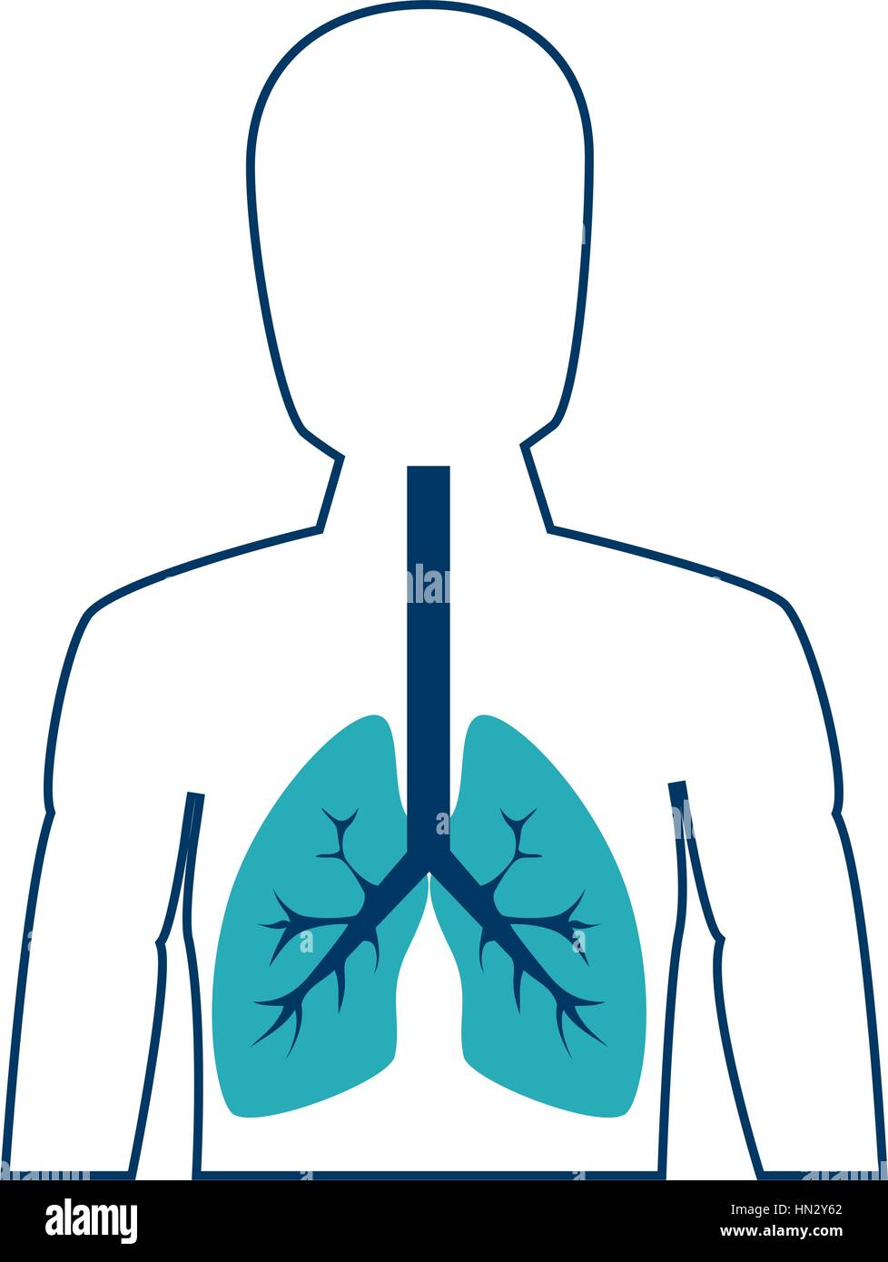 human figure with lungs vector illustration design Stock Vector Image ...