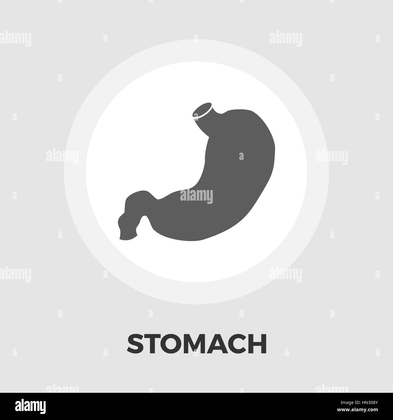 Stomach icon vector. Flat icon isolated on the white background ...