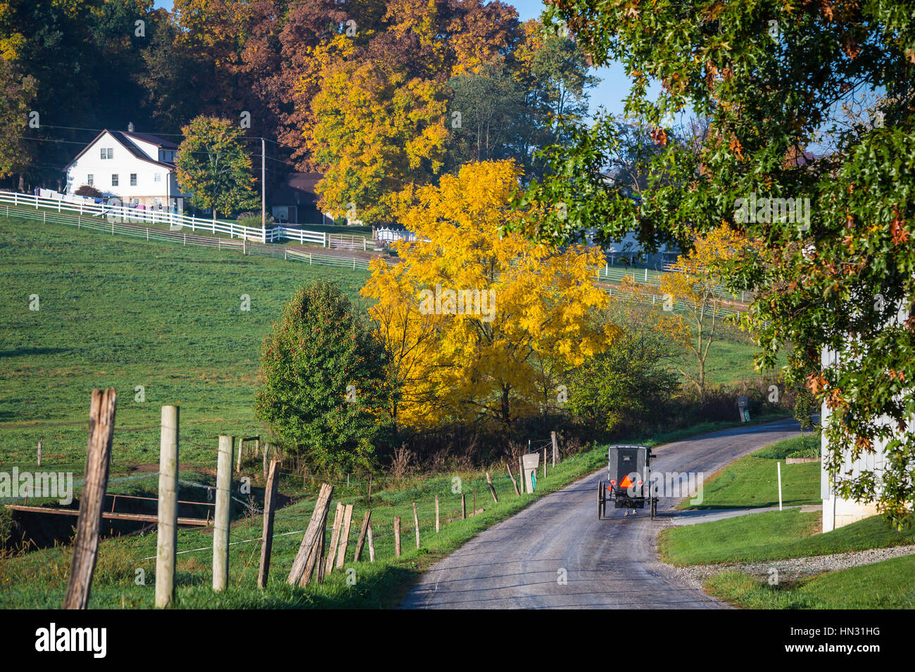An Amish horse and buggy travelling down a country lane in rural Ohio ...