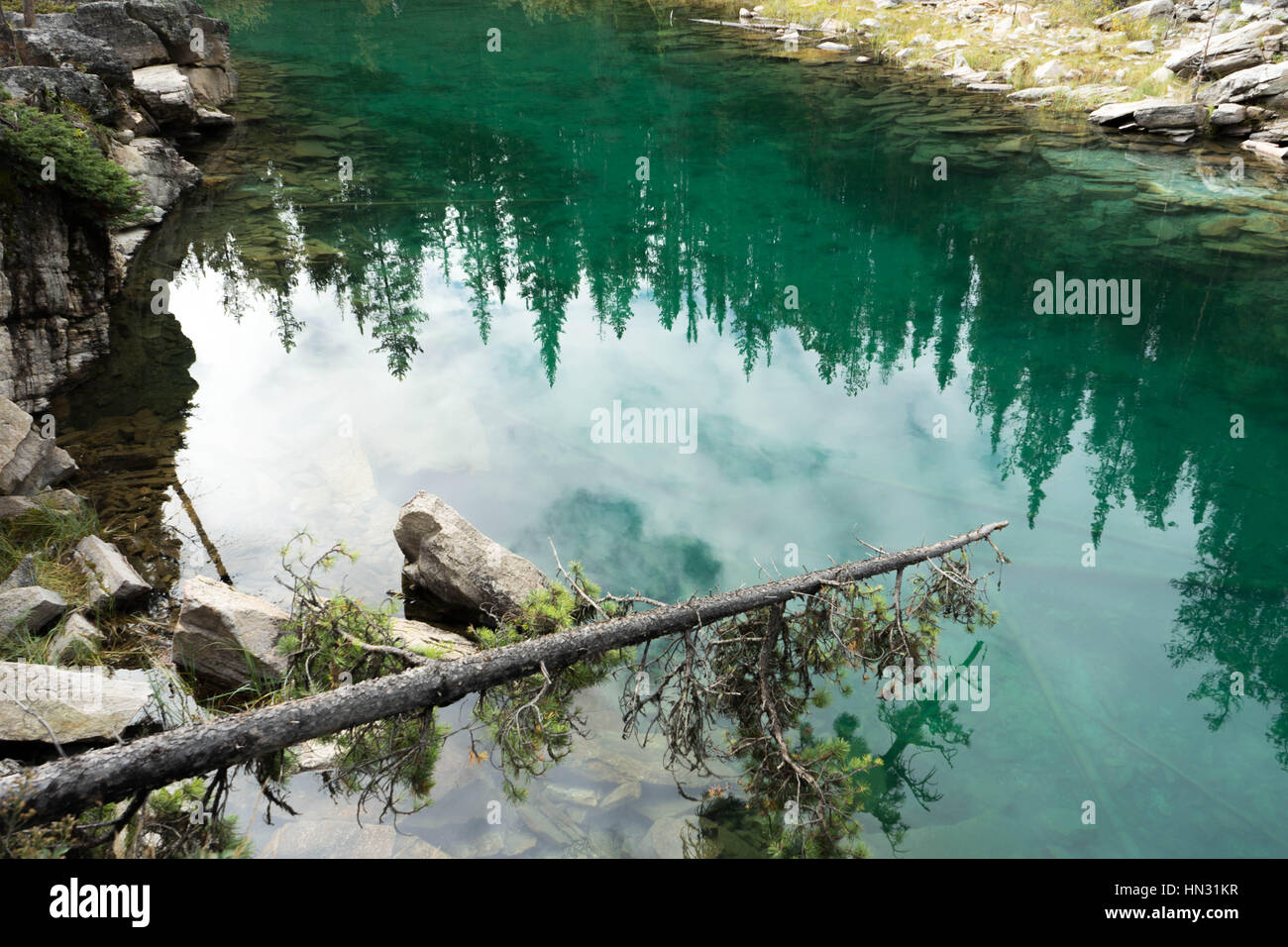 Jasper National Park , Nature, Canada Stock Photo - Alamy
