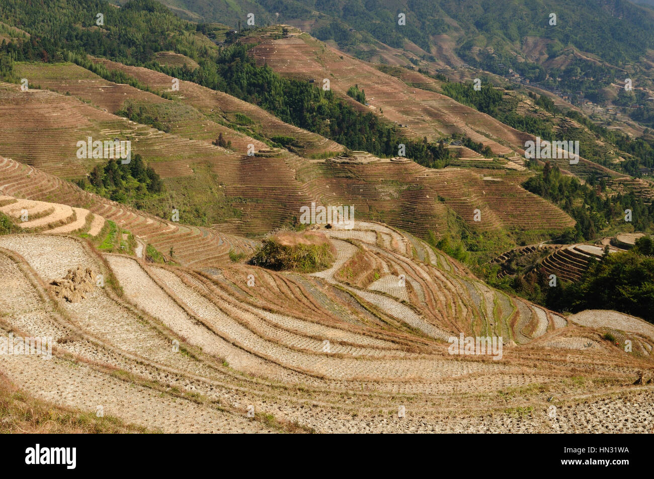 Dragon's Backbone Rice Terraces - ancient beautiful rice terraces of ...