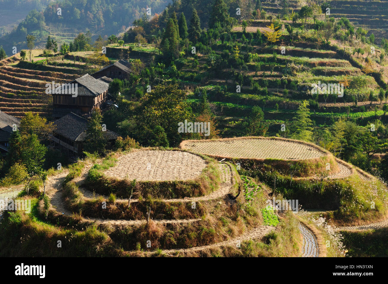 Dragon's Backbone Rice Terraces - ancient beautiful rice terraces of ...