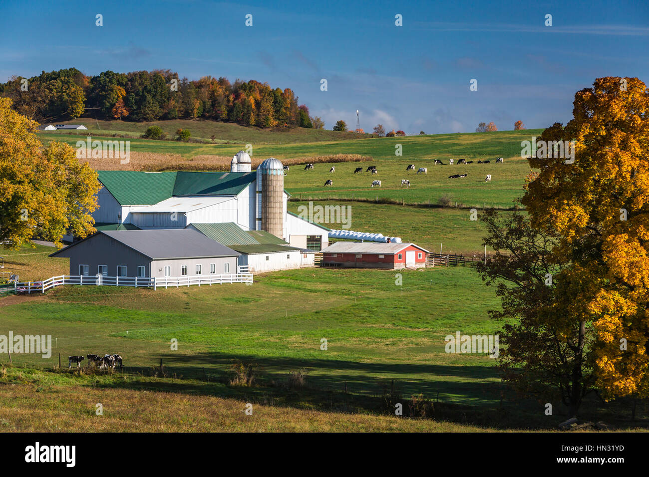 Amish barn hi-res stock photography and images - Alamy