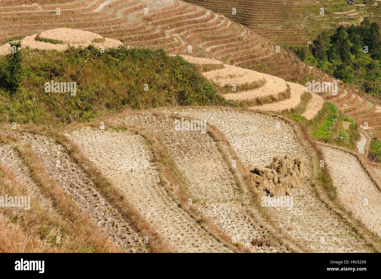 Dragon's Backbone Rice Terraces - ancient beautiful rice terraces of ...