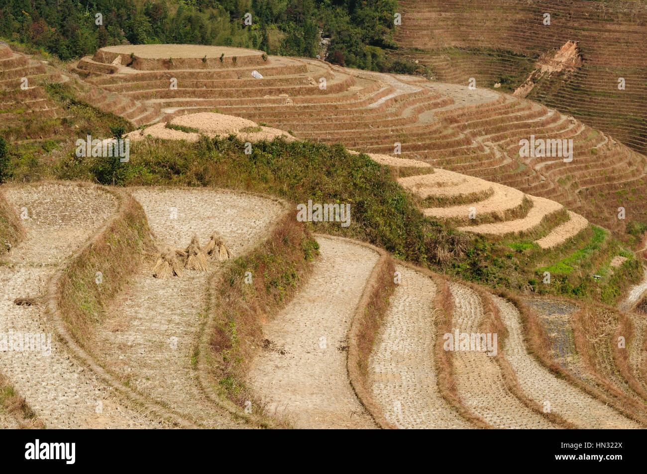 Dragon's Backbone Rice Terraces - ancient beautiful rice terraces of ...