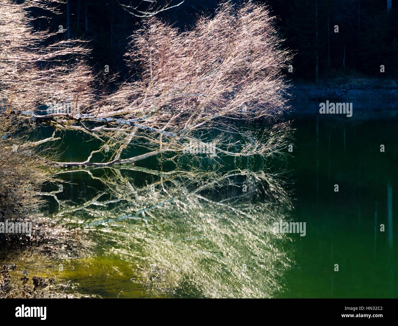 Epic photogenic nature hi-res stock photography and images - Alamy