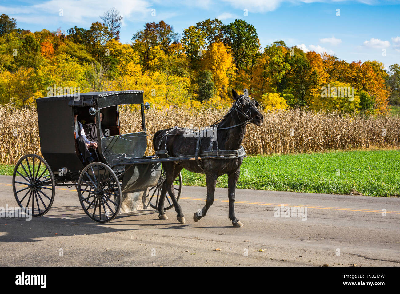 Amish horse and buggy with fall foliage color near Mt. Hope, Ohio, USA ...