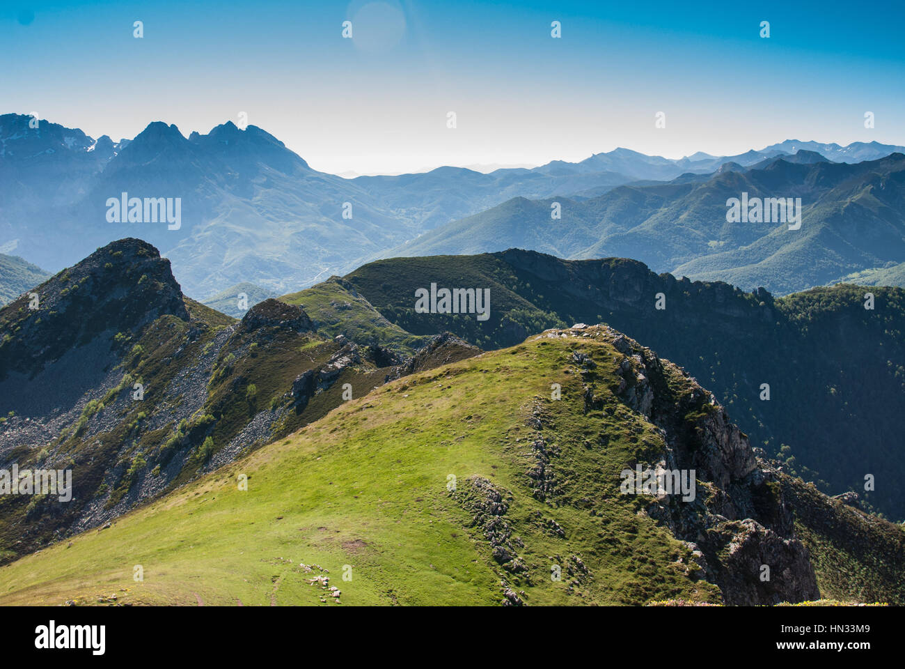 Jario hi-res stock photography and images - Alamy