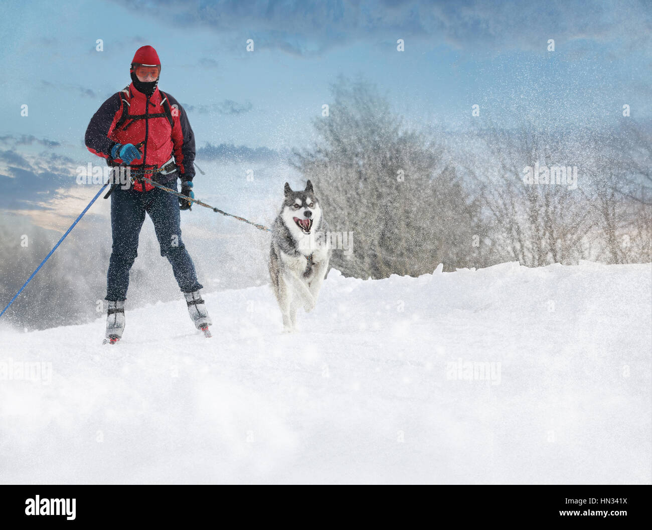 Cross country skiing circuit hi-res stock photography and images - Alamy