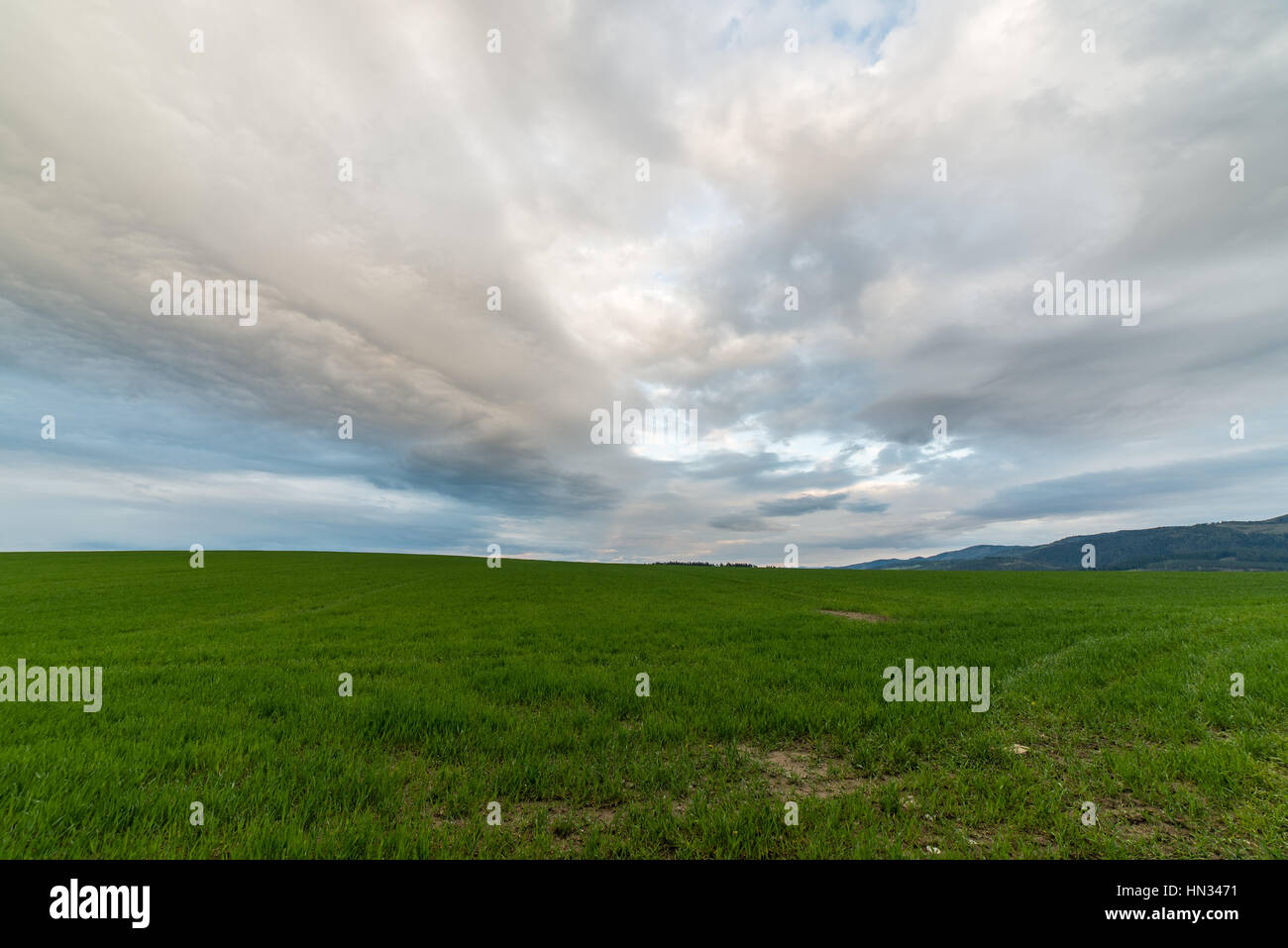 Dark storm clouds over meadow with green grass and mountains in ...
