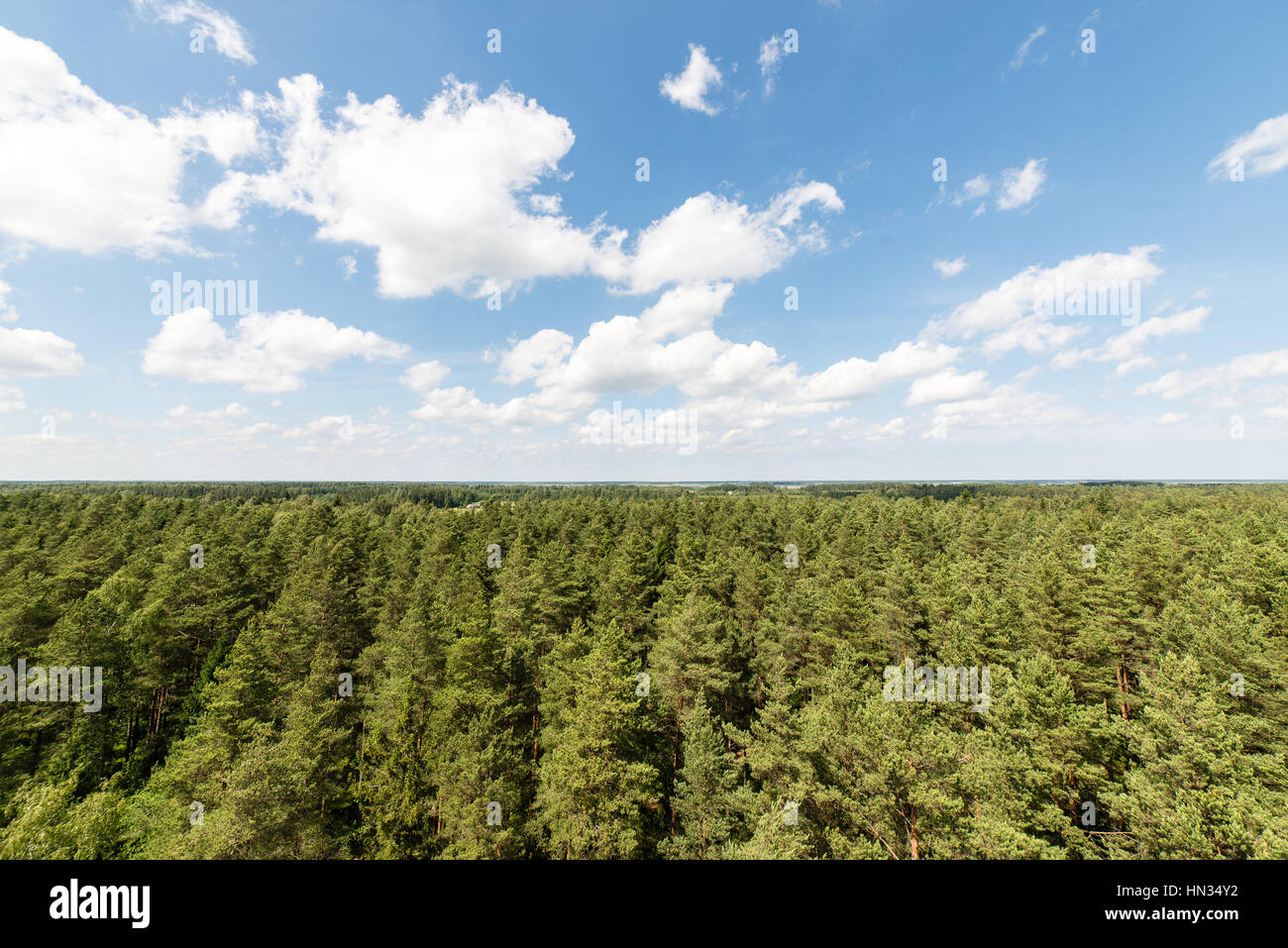 Dark storm clouds over forest and mountains in background Stock Photo ...