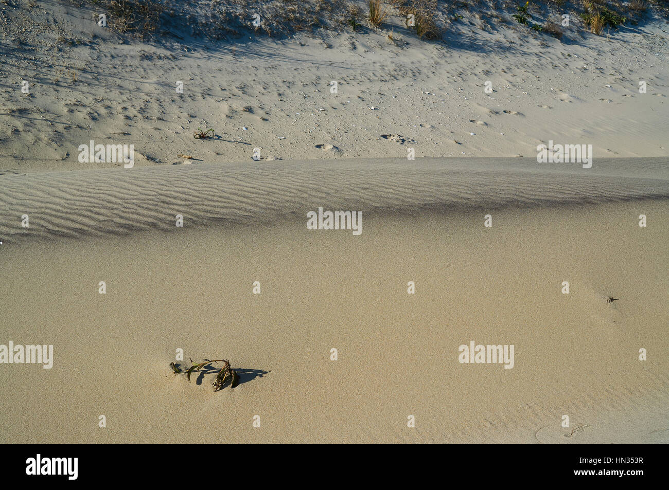 Wind smoothed hi-res stock photography and images - Alamy