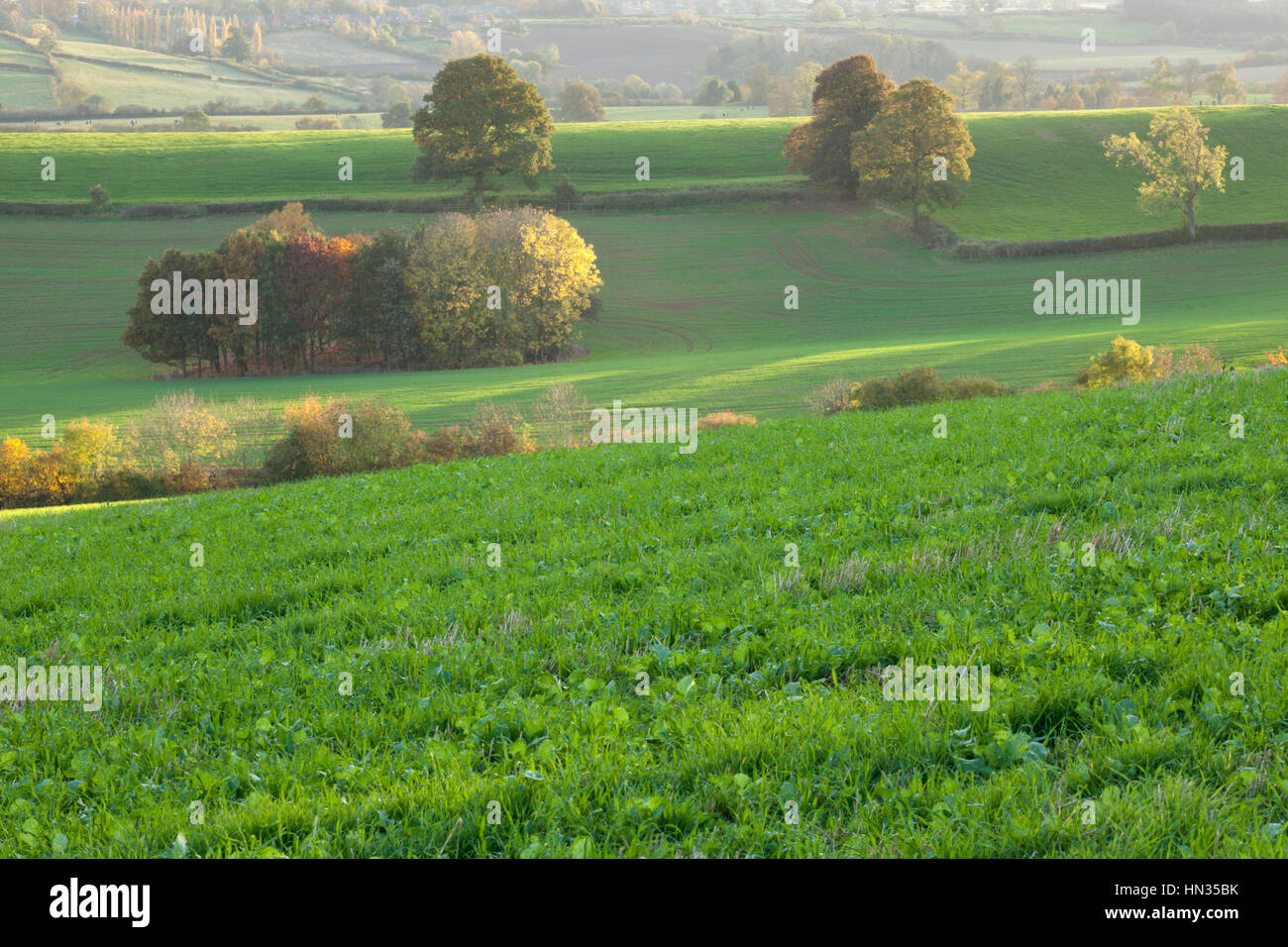 Northamptonshire countryside landscape hi-res stock photography and ...