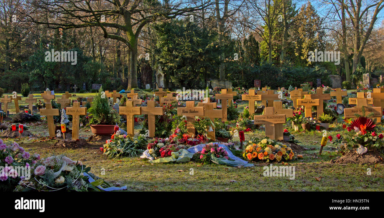 Meadow with graves with wooden crosses, decorated with flowers in ...