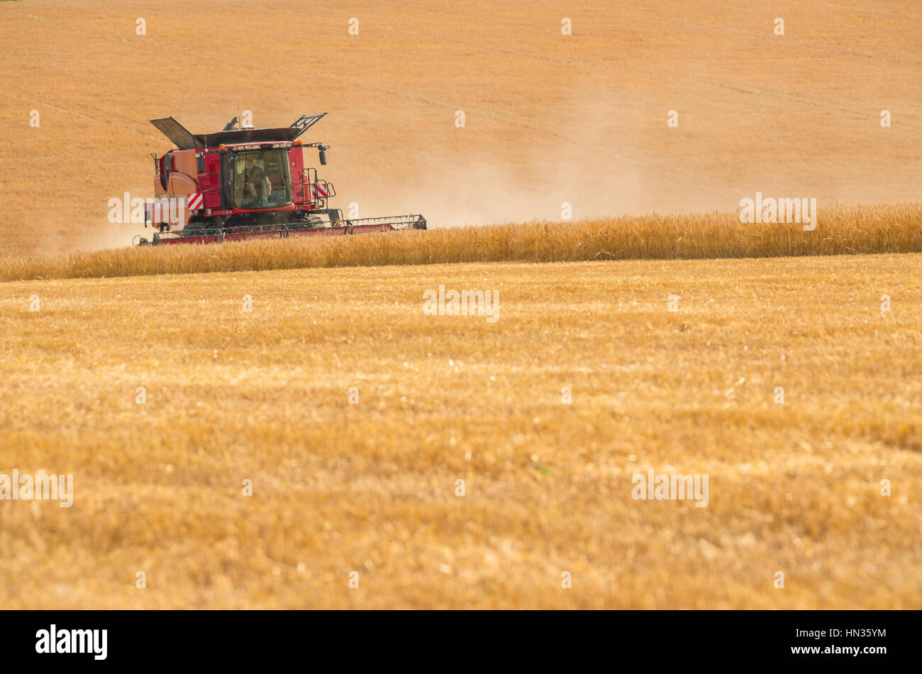 Combine combining hi-res stock photography and images - Alamy