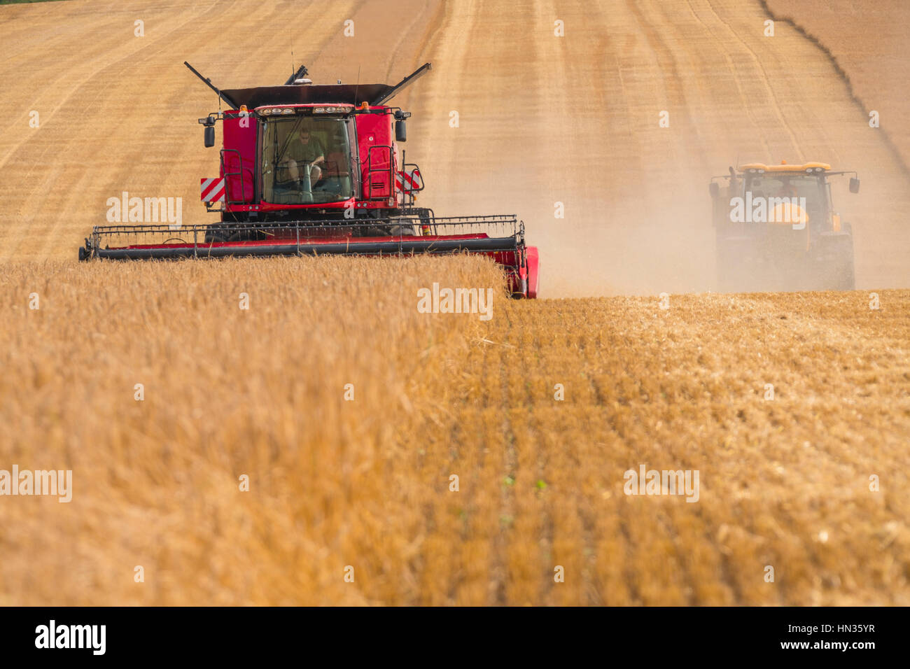 Combining a large barley field Stock Photo - Alamy