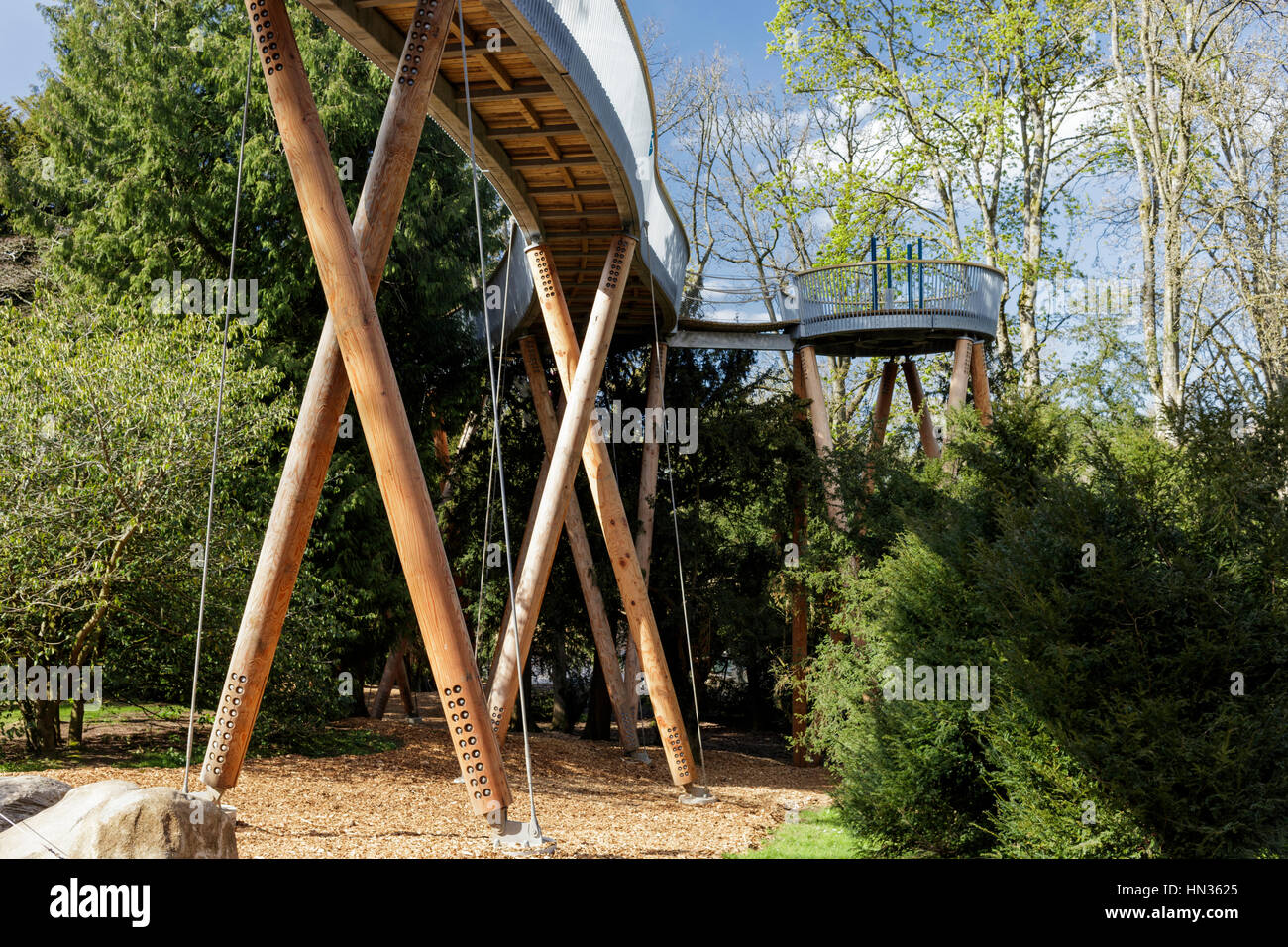 The STIHL treetop walkway at Westonbirt Arboretum Stock Photo - Alamy
