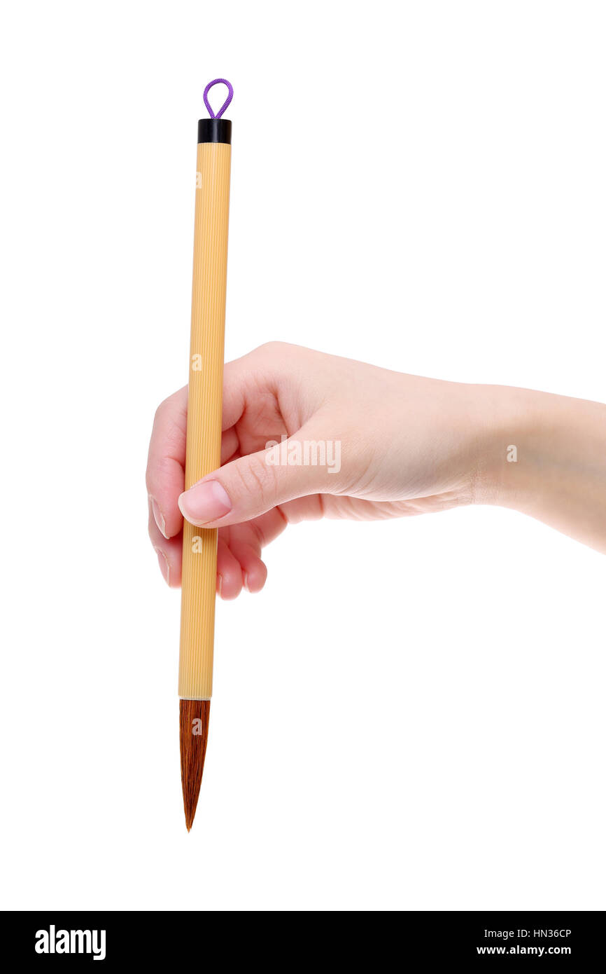 Hand holding traditional writing brush on white background Stock Photo ...