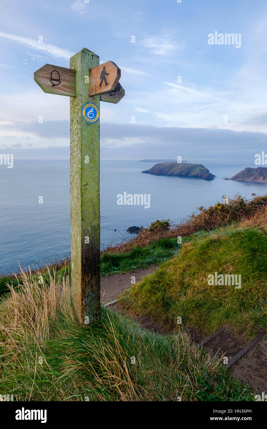 Pembrokshire coastal path hi-res stock photography and images - Alamy