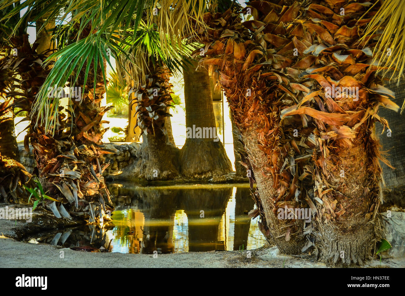 Aqua caliente hi-res stock photography and images - Alamy
